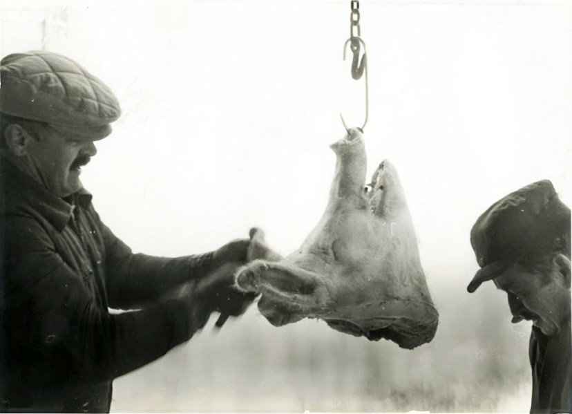 1985 Velike Bloke – Koline | Stare slike